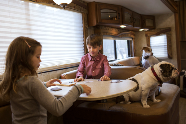 LITTLE DEALER LITTLE PRICES - Updated October 2024 - 146 Photos & 390 ...