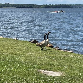 LAKE MURRAY DAM - Updated October 2025 - 21 Photos - Sc Hwy 6, Lake ...