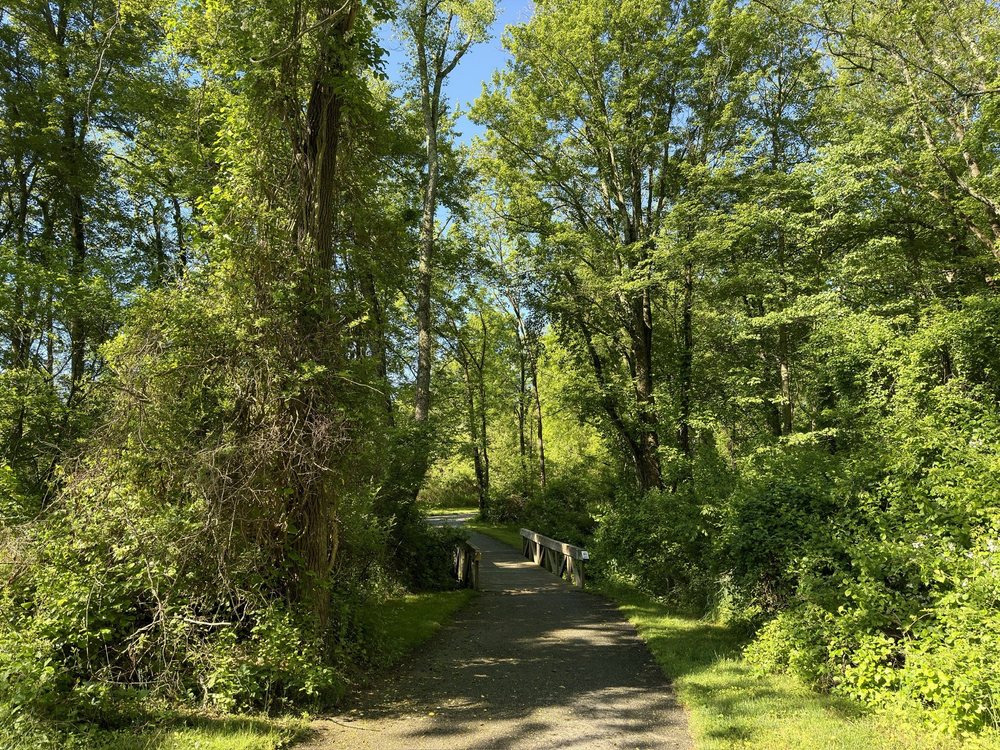 WESTERN REGIONAL PARK - Updated February 2025 - 48 Photos - 14800 Carrs ...