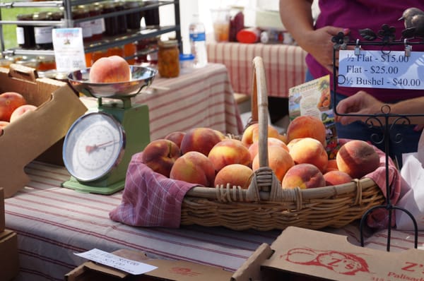 PALISADE PEACH FESTIVAL - Updated October 2025 - 30 Photos & 10 Reviews ...