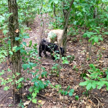 STARING LAKE DOG PARK - Updated September 2025 - 17 Photos - 13800 ...