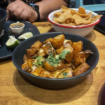 XICHA BREWING COMPANY - NORTH SALEM - Updated October 2025 - 87 Photos ...