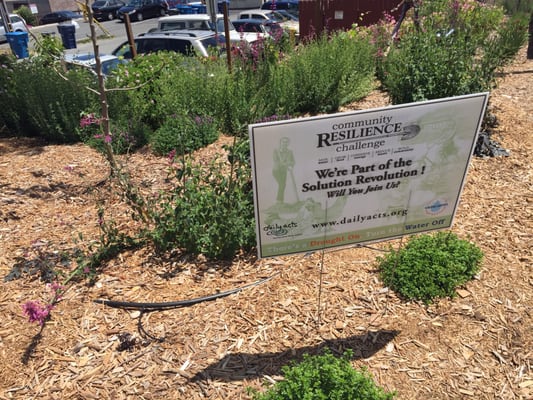 SEBASTOPOL REGIONAL LIBRARY - Updated December 2025 - 10 Photos & 14 ...