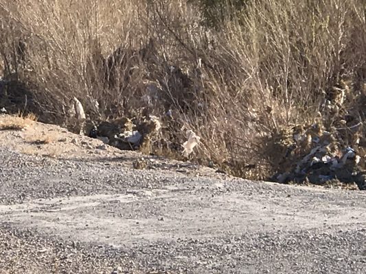 CLARK COUNTY WATER RECLAMATION DISTRICT - Updated October 2025 - 5857 E ...