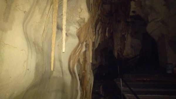 PRINCESS MARGARET ROSE CAVES - 26 Photos - Princess Margaret Rose Caves ...