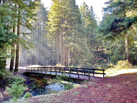 BROOKTRAILS GOLF COURSE - Updated January 2026 - 10 Photos - 24860 ...