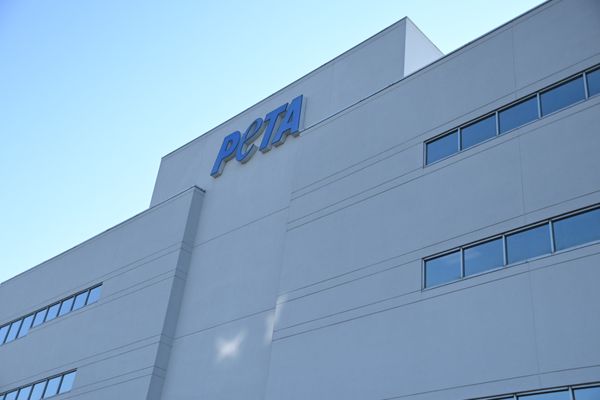 PETA - Updated December 2025 - 40 Reviews - 501 Front St, Norfolk ...