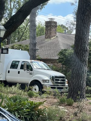 RANGEL TREE SERVICE - Updated December 2025 - 23 Photos - 1323 Fm 362 ...