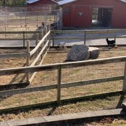 SUSON PARK - Updated August 2025 - 159 Photos & 42 Reviews - 6059 Wells ...