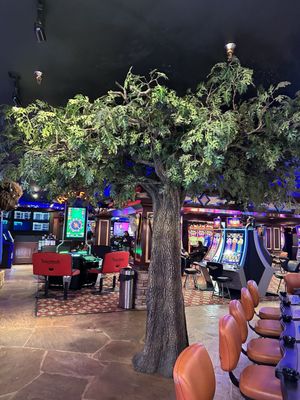 BONANZA CASINO - Updated August 2025 - 101 Photos & 188 Reviews - 4720 ...