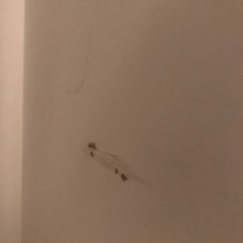 HydroSolution - Updated October 2025 - 18 Photos - 40 Reviews - 7100 ...