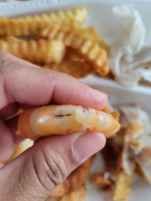 LITTLE FISH FACTORY - Updated October 2025 - 29 Photos & 26 Reviews ...