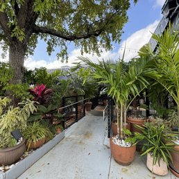 DOYA - Updated December 2025 - 1628 Photos & 563 Reviews - 347 NW 24th ...