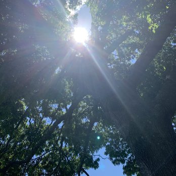 NIANTIC BAY BOARDWALK - Updated September 2025 - 123 Photos & 13 ...