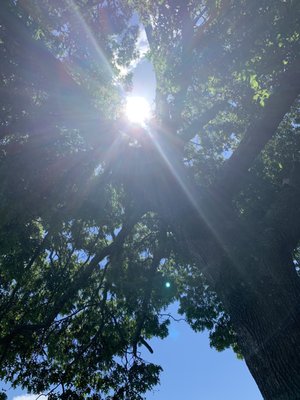 NIANTIC BAY BOARDWALK - Beach at 30 Main St, Niantic, Connecticut - 105 ...