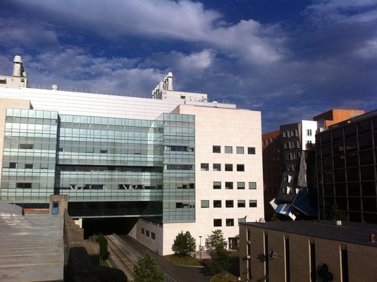MIT BUILDING 46 - BRAIN & COGNITIVE SCIENCE BUILDING - Updated April ...