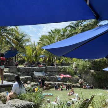 BLUE LAGOON FARM MIAMI - Updated January 2026 - 76 Photos & 41 Reviews ...