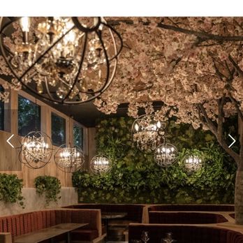 LUPESSA - Updated December 2024 - 552 Photos & 229 Reviews - 156 S ...