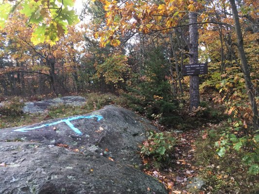BALD MOUNTAIN TRAIL - 45 Notch Rd, Mendon, Vermont - Hiking - Yelp