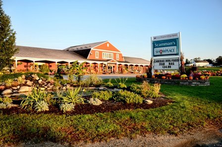 SCAMMAN’S HOME & GARDEN - Updated December 2025 - 57 Portsmouth Ave ...