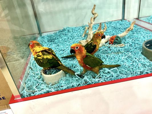 BEVERLY’S PET CENTER - Updated October 2025 - 149 Reviews & 125 Photos ...