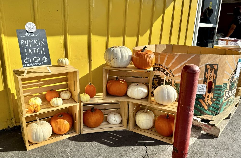 ANAHEIM FEED AND PET SUPPLY - Updated March 2025 - 414 Photos & 475 ...