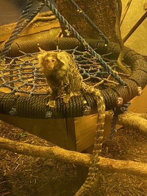 LIVING TREASURES ANIMAL PARK - Updated October 2025 - 64 Photos & 46 ...
