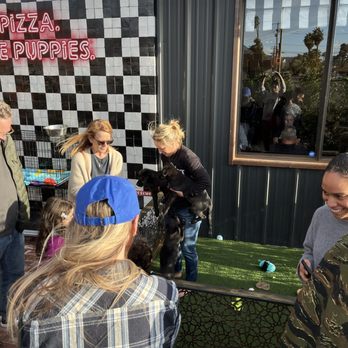 PIZZA TO THE RESCUE - Updated April 2024 - 37 Photos - 2601 E Indian ...