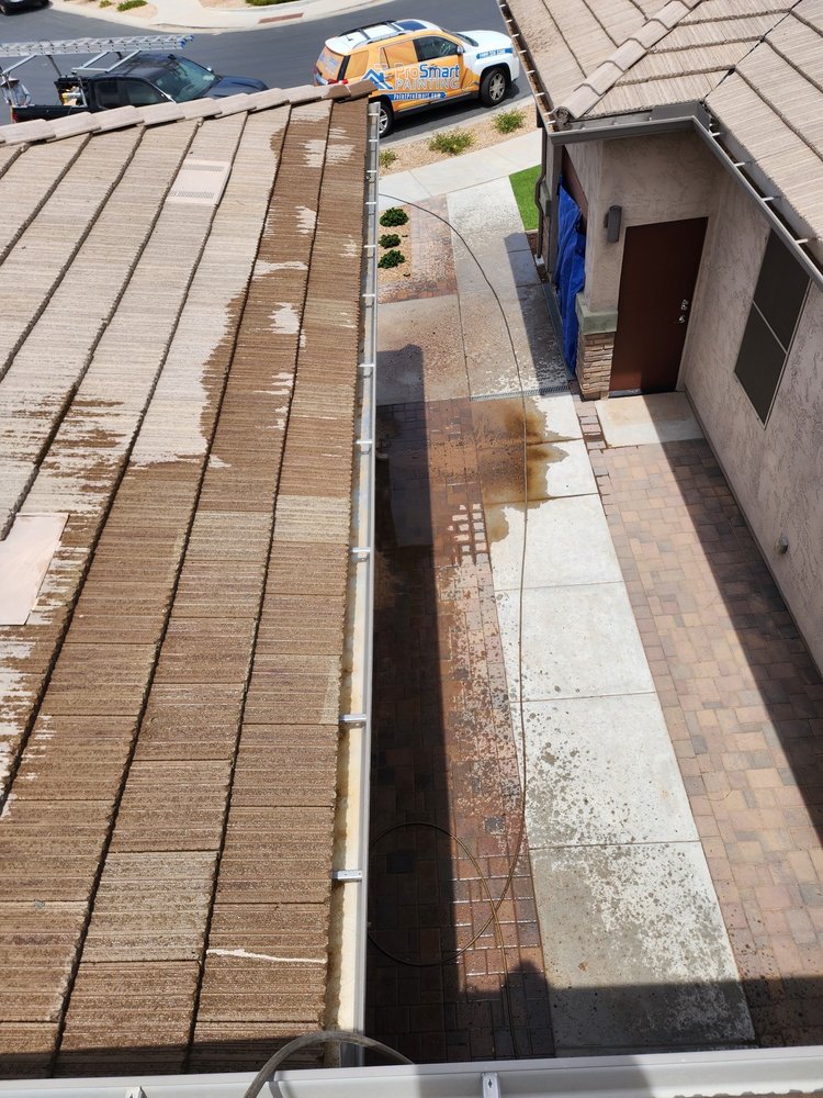 PIGEON PROBLEM SOLVERS - Updated July 2025 - 83 Photos & 29 Reviews ...