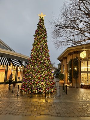 ALAMEDA SOUTH SHORE CENTER - Updated August 2025 - 322 Photos & 81 ...