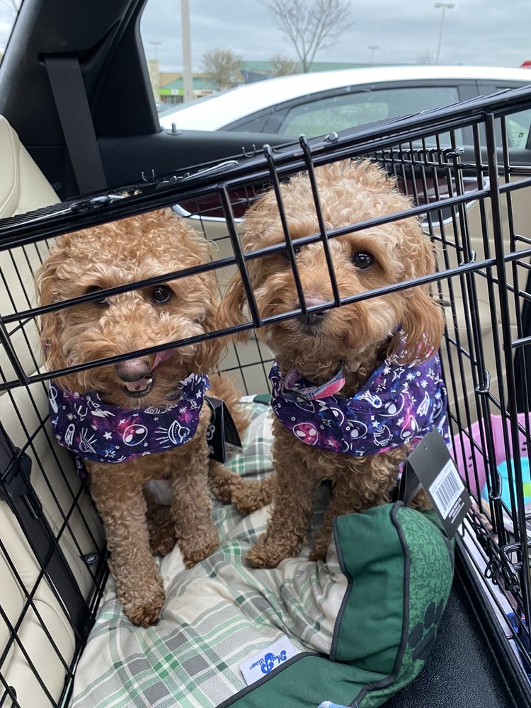 COUNTRY COMPANION ANIMAL HOSPITAL - Updated December 2025 - 15 Photos ...