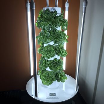 WINSTON FAMILY YMCA - Updated July 2025 - 184 Photos & 75 Reviews - 221 ...