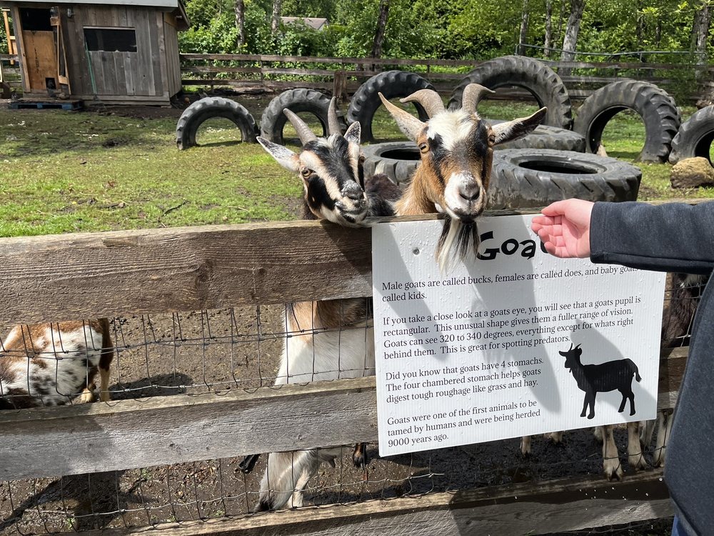 MEADOWS FAMILY FARM - Updated January 2026 - 24 Photos - 12377 248th ...