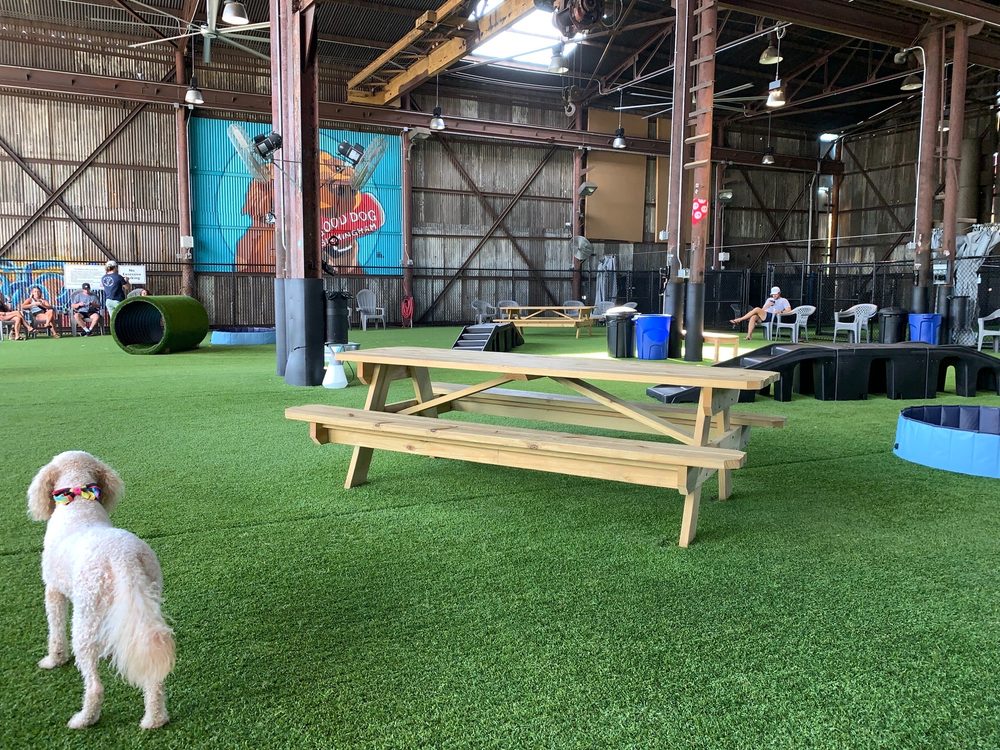 GOOD DOG BAR AND DOG PARK - 10 Photos & 11 Reviews - 2307 1st Ave S ...