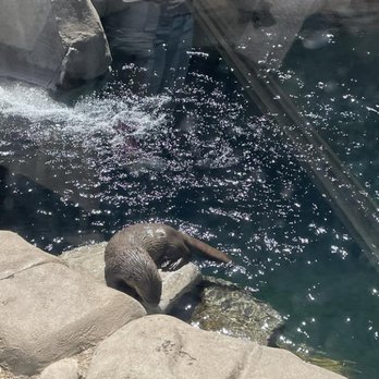 ABQ BIOPARK BOTANIC GARDEN - Updated November 2024 - 900 Photos & 163 ...