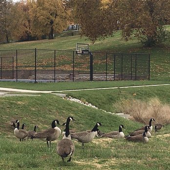 KOENEMAN PARK - Updated December 2025 - 8937 Lucas and Hunt Rd ...