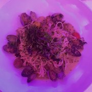 ROMANZA RISTORANTE ITALIANO - 419 Photos & 297 Reviews - 2707 S ...