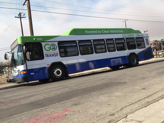 GOLD COAST TRANSIT - Updated September 2024 - 13 Photos & 13 Reviews ...