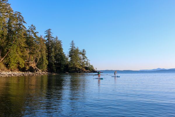 WILDCAT COVE PADDLE - Updated March 2025 - 12 Photos - Bellingham ...