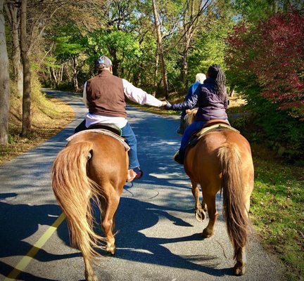 SHEEDER MILL FARM - Updated August 2025 - 96 Photos & 55 Reviews - 12 ...