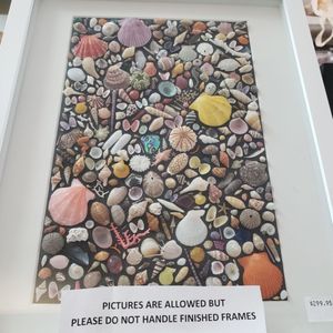 SANIBEL SEASHELL INDUSTRIES - Updated October 2025 - 25 Photos & 11 ...