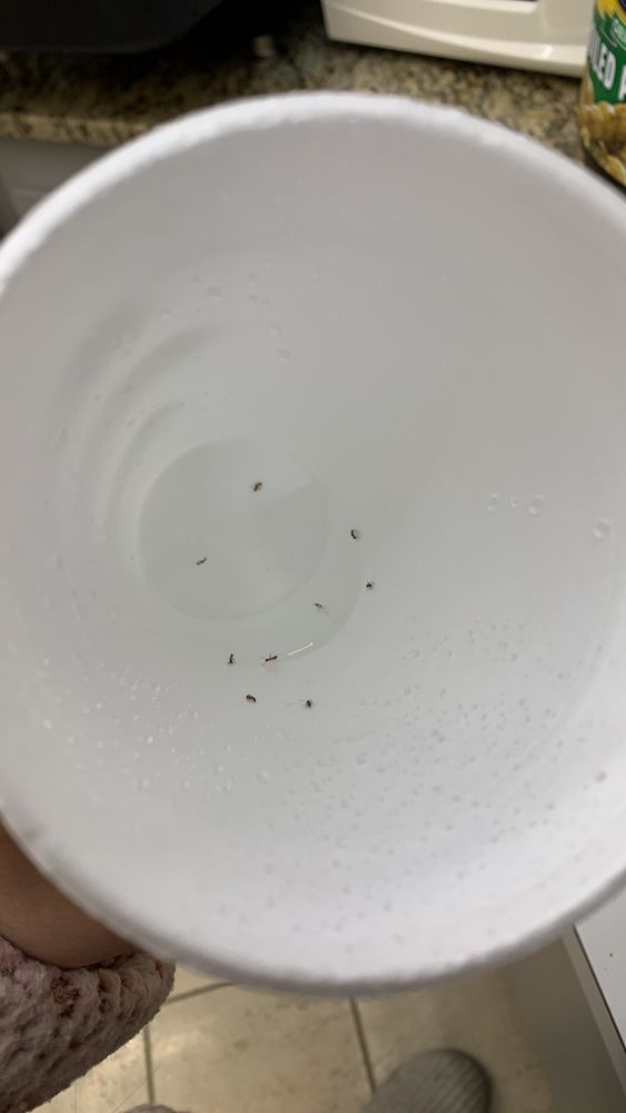 SHELL GAS STATION - Updated July 2025 - 4000 Frey Rd NW, Kennesaw ...