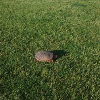 OVERPECK GOLF COURSE - Updated December 2025 - 273 E Cedar Ln, Teaneck ...