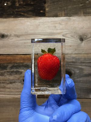 THE CLEAR ICE COMPANY - Updated January 2026 - 4450 Enterprise St ...