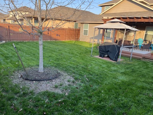 GREEN TEXAS LAWN CARE - Updated January 2025 - Request a Quote - San ...