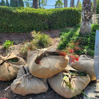 STEVEN SMITH LANDSCAPE - Updated December 2025 - 1916 Commercial St ...