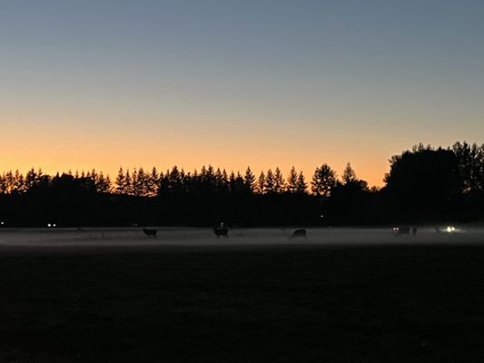 THREE FORKS NATURAL AREA - Updated July 2025 - 39912 SE Park St ...