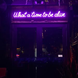 THE DIRTY RABBIT - 573 Photos & 361 Reviews - 151 NW 24th St, Miami ...