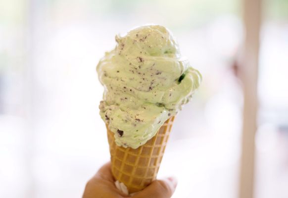 GOODBERRY’S FROZEN CUSTARD - 83 Photos & 107 Reviews - Ice Cream ...