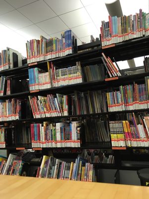 MOUNT PROSPECT PUBLIC LIBRARY - Updated December 2025 - 42 Photos & 32 ...